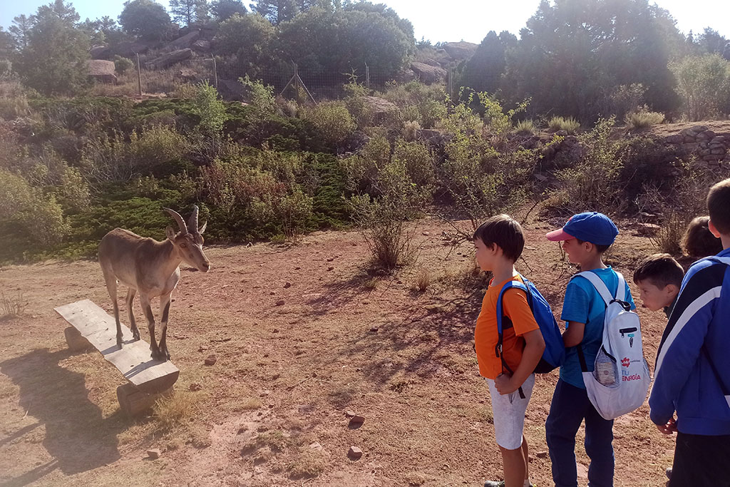 VISITAS GUIADAS PARQUE LA MALEZA - Experiencias turísticas de Aragón